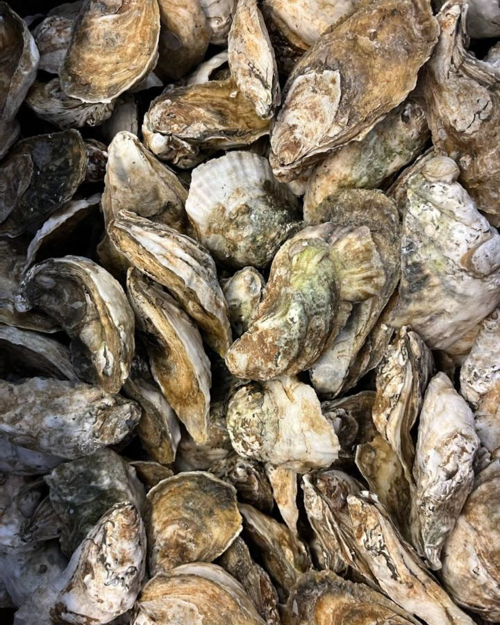 Austin Seafood Company | Austin Fish Company