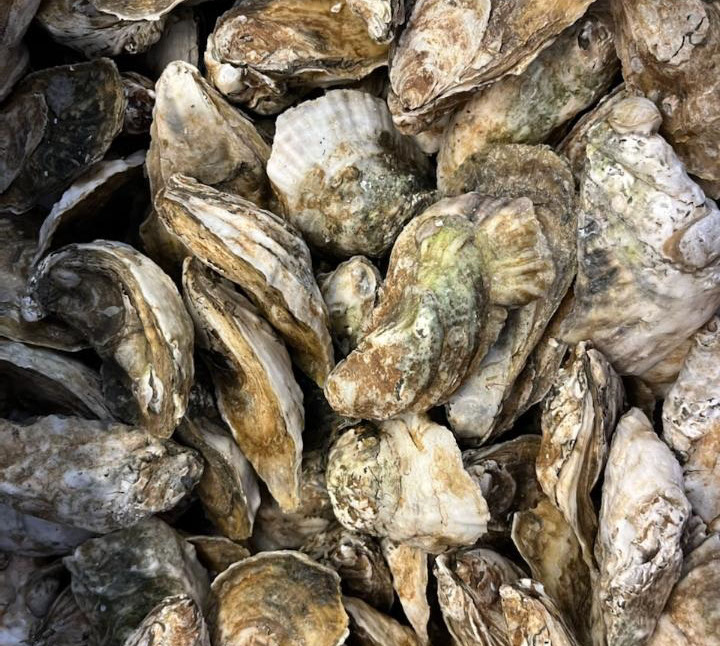 Austin Seafood Company | Austin Fish Company